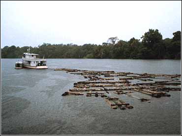 Brazil Protects Huge Swath Of Amazon - CBS News