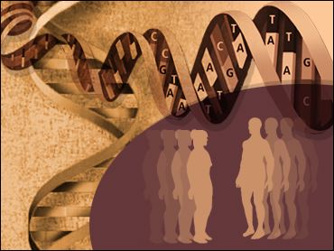 U.S. Seeks Ban On Human Cloning - CBS News