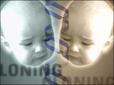 Poll: Human Cloning Is Possible - CBS News