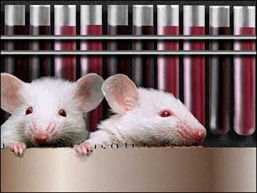 Of Mice And Men - CBS News