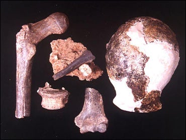 Ancient Skeleton Gets Older - CBS News
