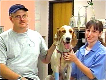 Phoenix: A Miracle Dog - CBS News