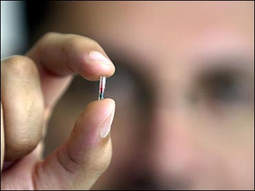 A Real Chip On Your Shoulder - CBS News