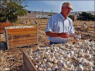 White Flag Waves In Garlic War - CBS News
