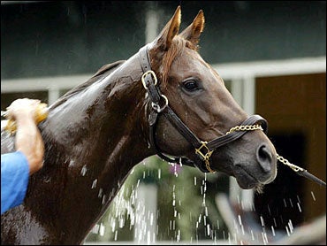 Racing Days Done For Smarty Jones - CBS News