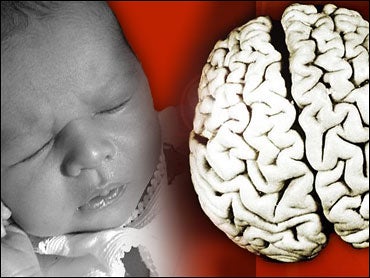Brain Hormones Of Neglected Tots - CBS News