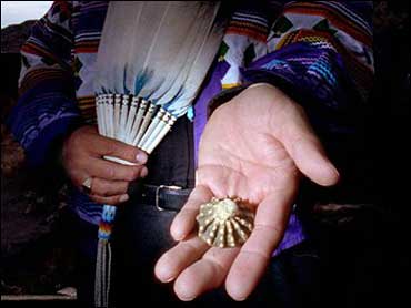 Peyote Not Linked To Brain Damage - CBS News