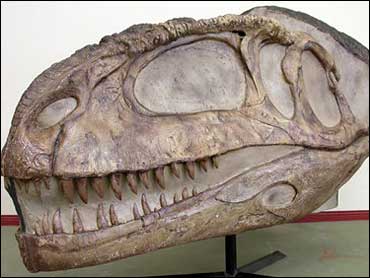 Huge, Meat-Eating Dinosaur Discoveries - CBS News