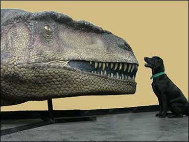 New Take On Dinosaur Extinction Aftermath - CBS News