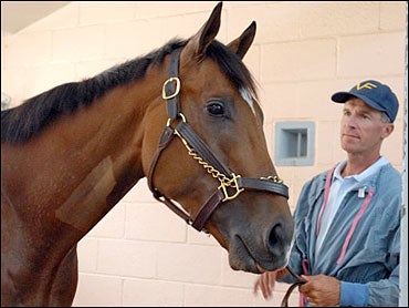 Barbaro Doing 'Much Better' - CBS News