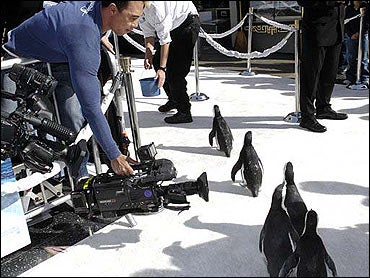 Ringleader Identified In Charlotte Arrests - CBS News