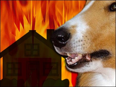 Dog Dies Saving Couple From Burning Home - CBS News