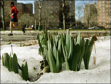 Spring Has Sprung, Finally - CBS News