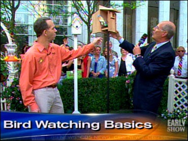 Bird Watching 101 - CBS News