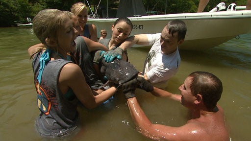 Noodling: The criminal act that has you caught red-handed - CBS News