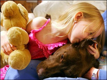 Surgeons Save Rescue Dog With Pacemaker - CBS News