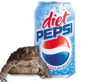 FDA Confirms Amphibian in Diet Pepsi Can - CBS News