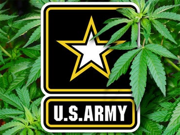 U.S. Army Accidentally Grows Marijuana - CBS News
