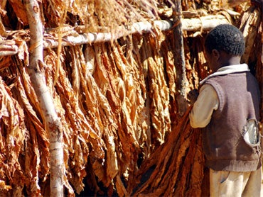 U.S.: 58 Countries Exploit Kids for Labor - CBS News