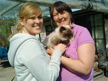 Katrina Kitty Finds His Way Home After 5 Years - CBS News