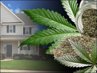 65 Pounds of Marijuana, Gift Wrapped With Bows, Seized - CBS News