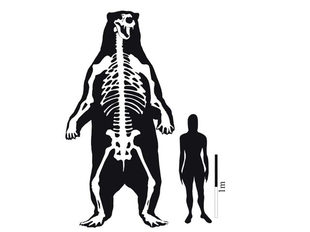 Largest Prehistoric Skeletons