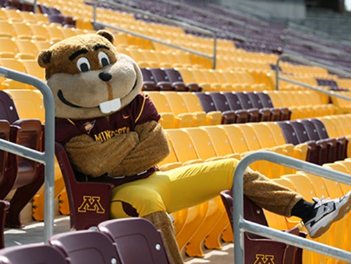 Goldy Gopher, U. of Minn. mascot, punched by professor who gets cited ...