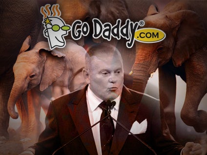 GoDaddy CEO: Elephant hunts help the locals - CBS News
