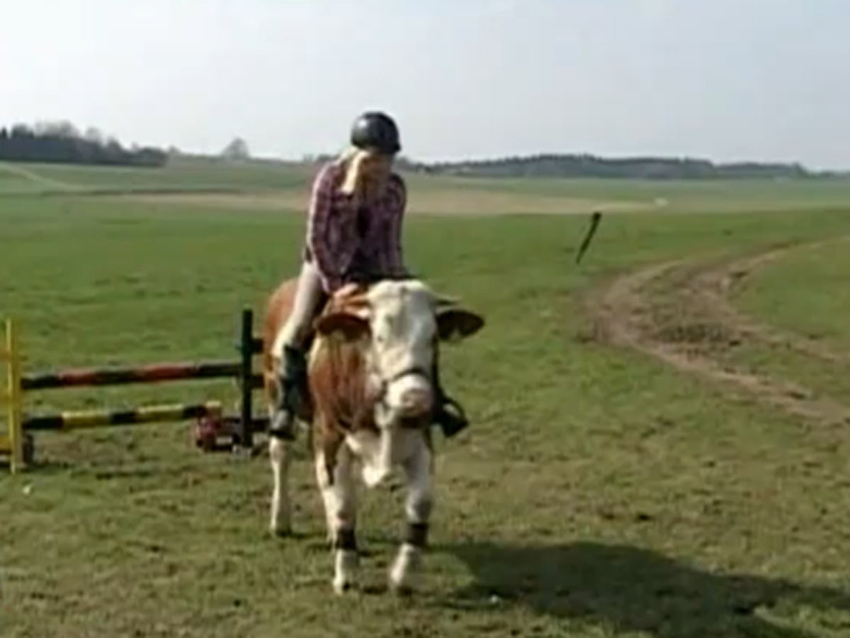 15-year-old Regina Mayer and her jumping cow "Luna" make headlines in ...