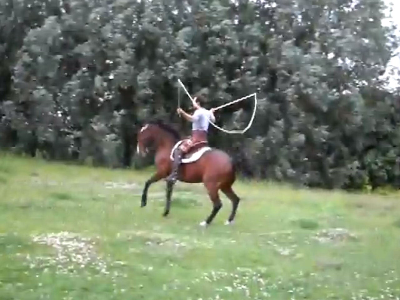 WOW: Horse and rider jumping rope - CBS News