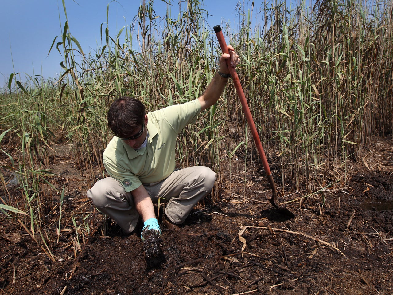 Gulf BP disaster: Vigilance still the watchword - CBS News