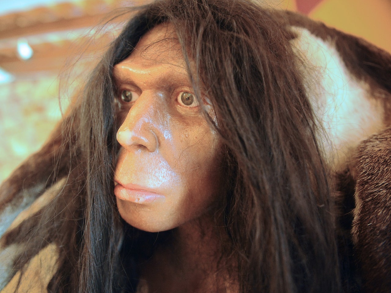 Russian site may show late Neanderthal refuge - CBS News