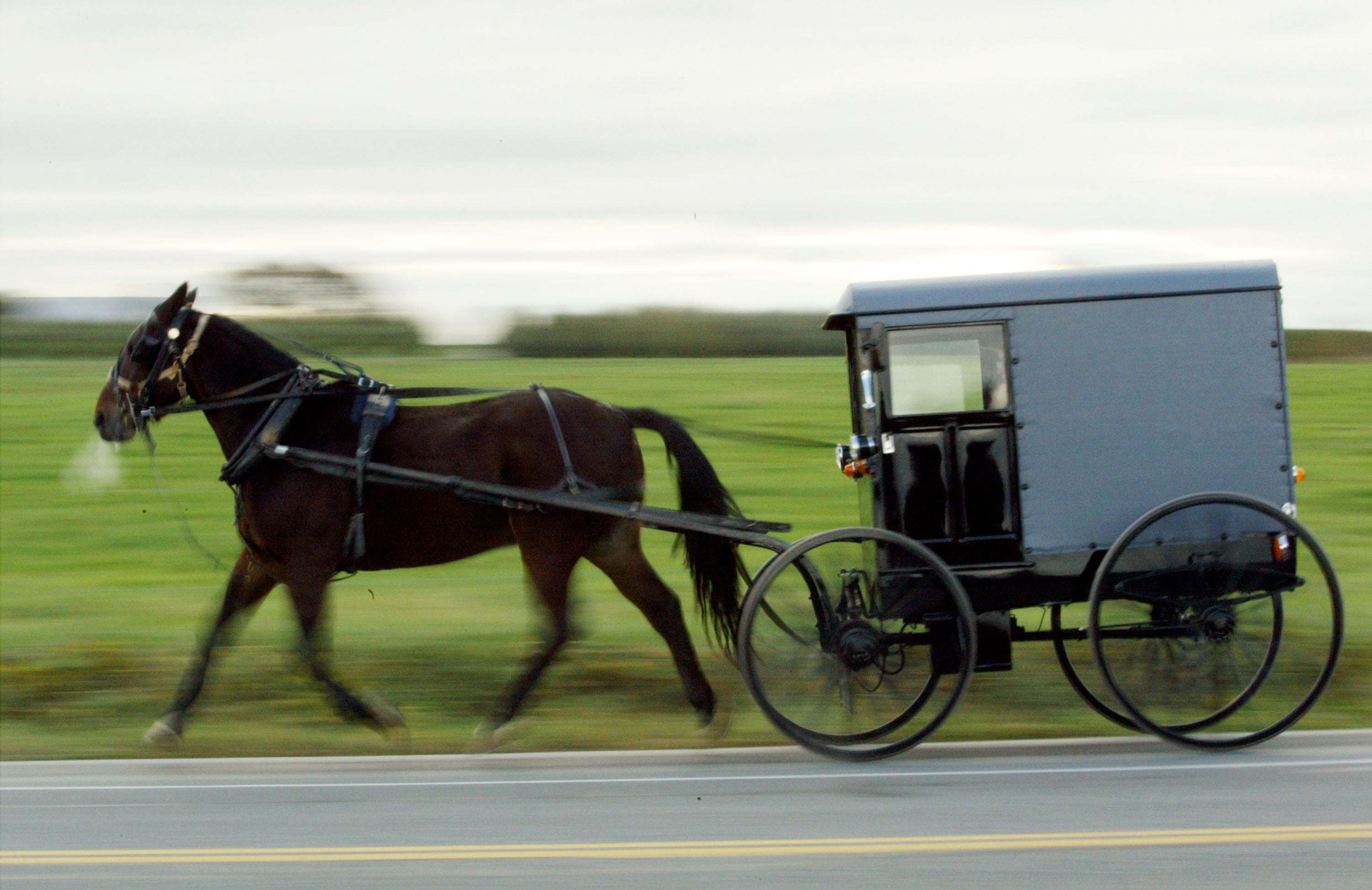 9 Amish men in Ky. sentenced to jail in "safety triangle" case - CBS News