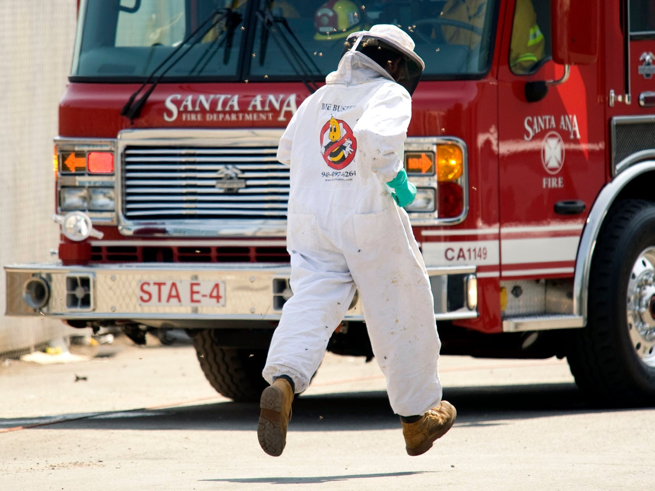 Angry bees attack man in wheelchair, 3 rescuers - CBS News