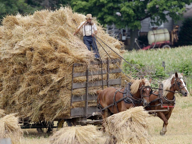 4 arrested in U.S. Amish attack - CBS News