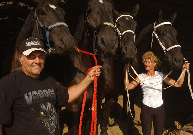 Ohio farm where exotic animals were let loose facing foreclosure - CBS News