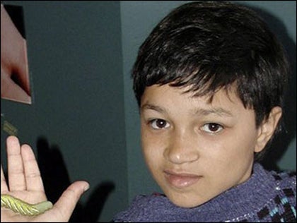 E.O. Green School shooting: Brandon McInerney pleads guility, faces 21 ...