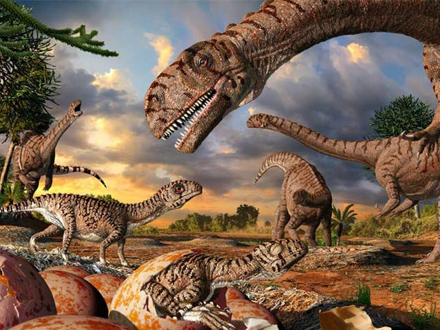 Researchers discover world's oldest dino nursery - CBS News