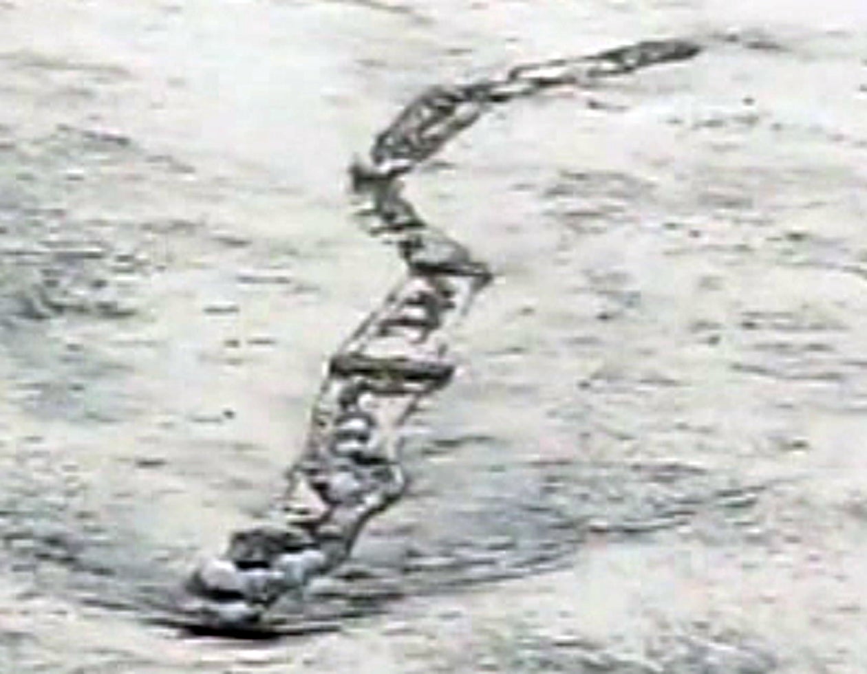 Iceland's Loch Ness monster? - CBS News