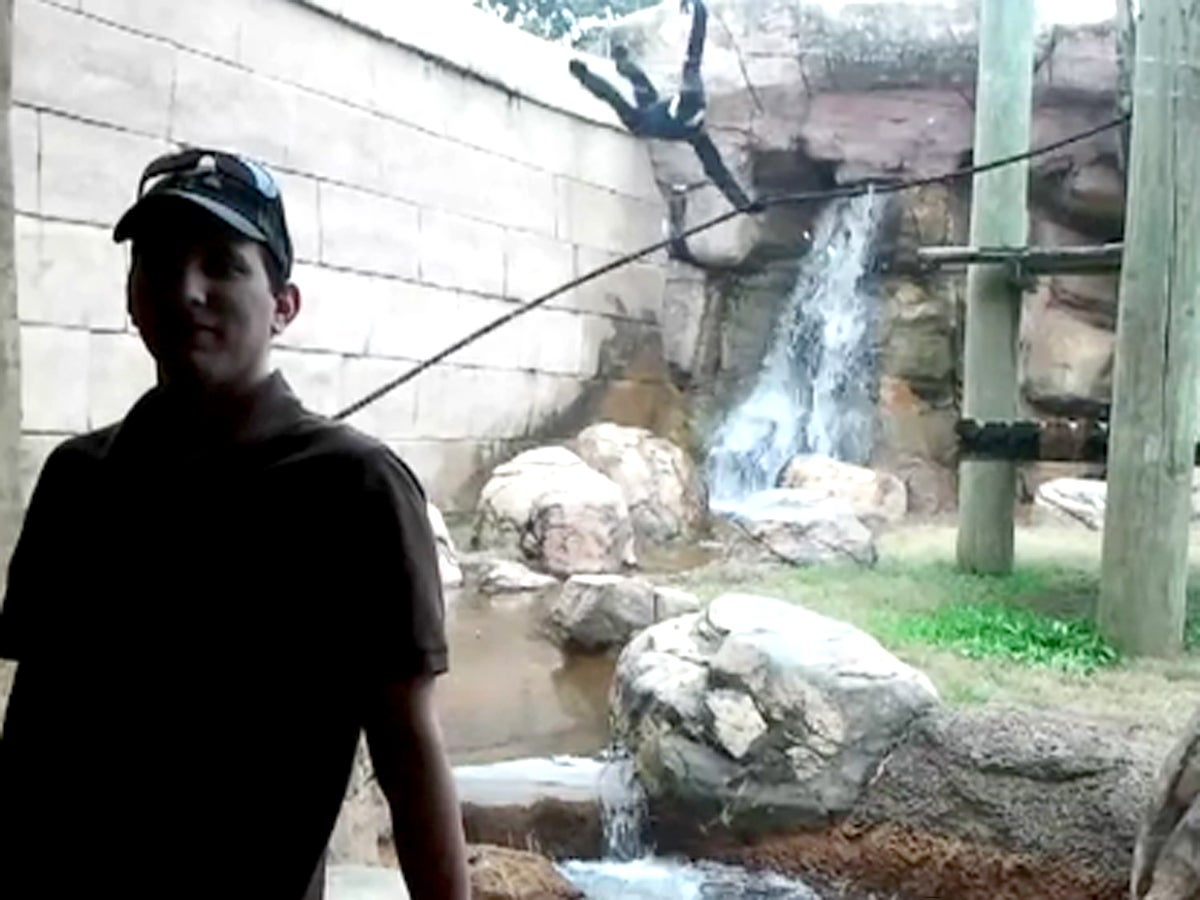 Jealous alpha male monkey "attacks" man at zoo - CBS News