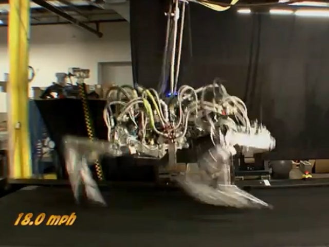 "Cheetah" robot sets new speed record - CBS News