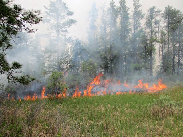 Fast-moving Michigan wildfire burns 17,000 acres - CBS News