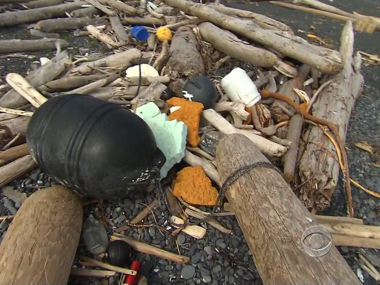 Toxic Japanese debris piles up on Alaska's shore - CBS News