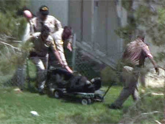 1 chimp dead, 1 tranquilized after Las Vegas escape - CBS News