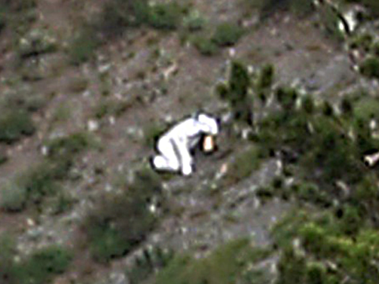 Man spotted prowling Utah mountains in goat suit ID's himself to ...