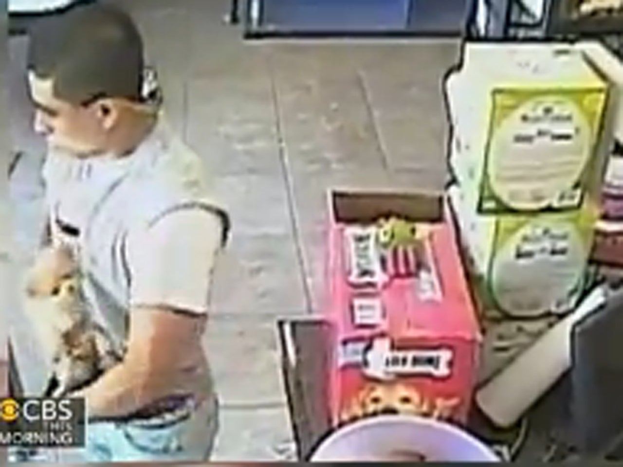 Watch: Thief stuffs dog down his pants - CBS News