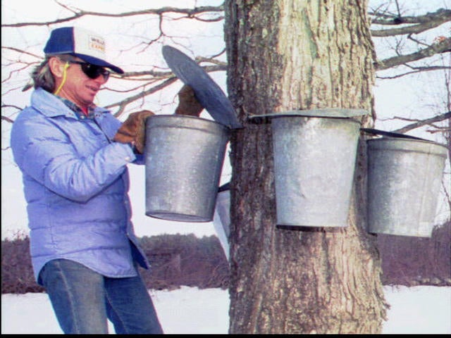 Police investigate massive maple syrup theft - CBS News