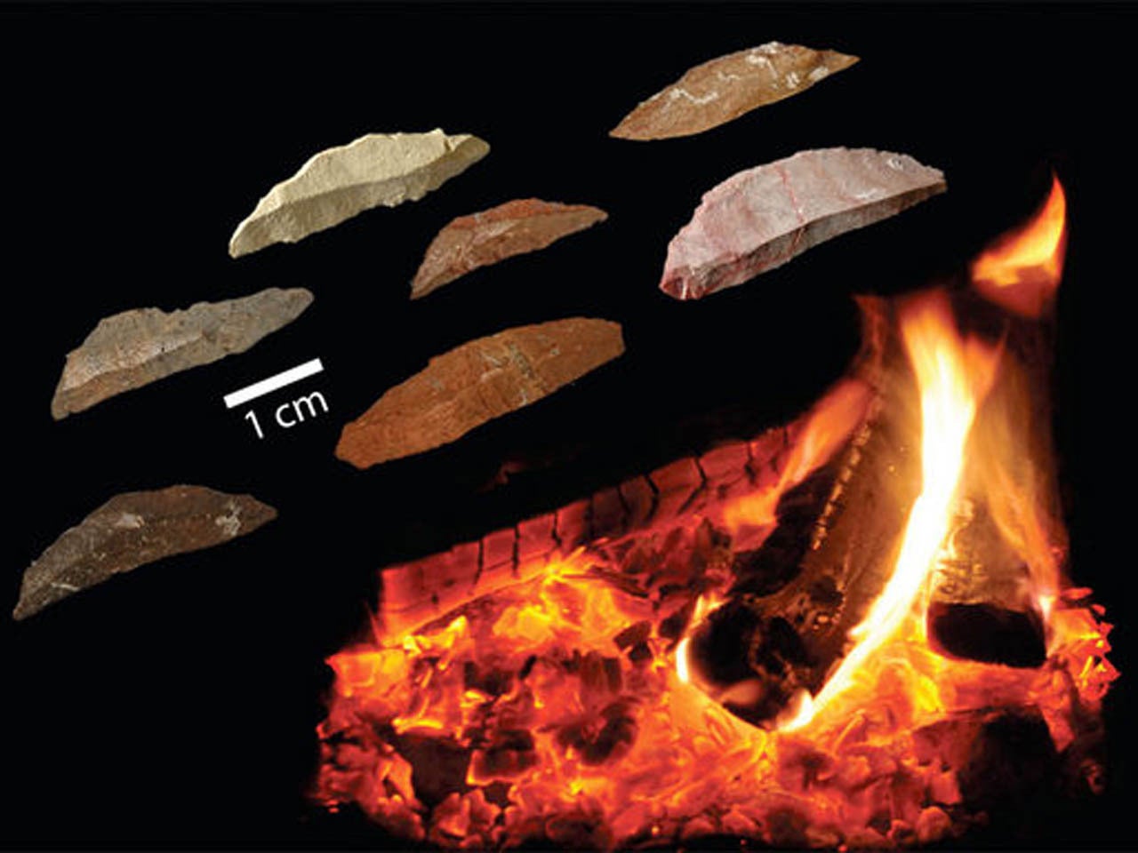 Complex tool discovery argues for early human smarts - CBS News