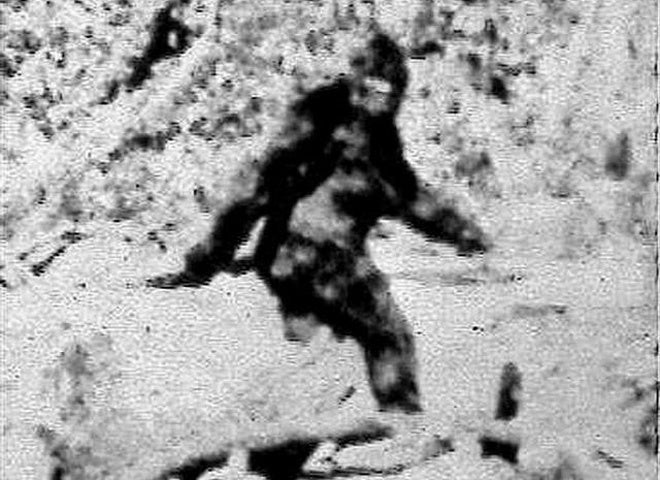 Cryptozoology: The hunt for "hidden" animals - CBS News