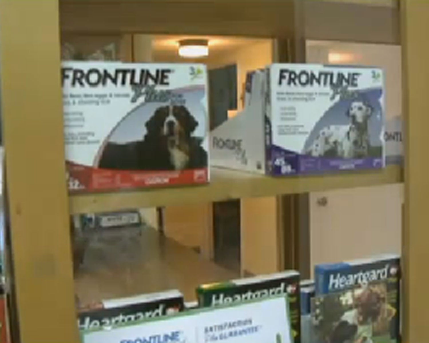 Frontline flea medication apparent target of animal clinic thieves ...